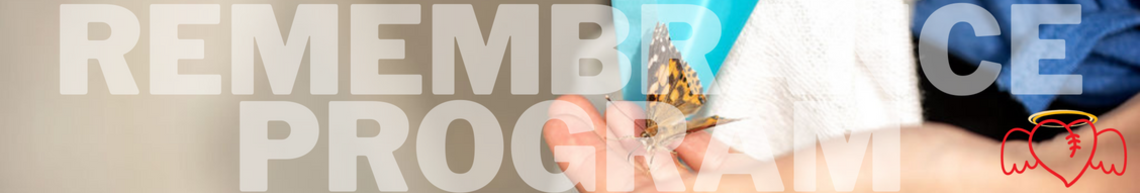 Heart Heroes, Inc. - UPGRADED | Kindful